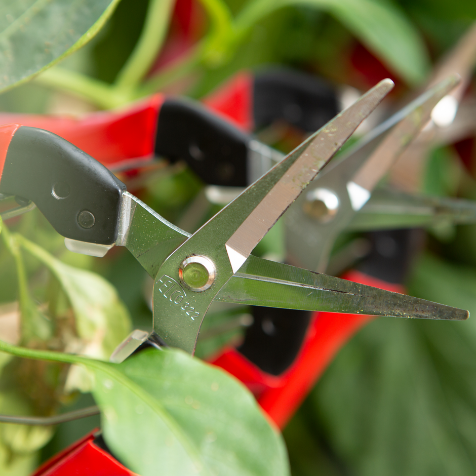 Pruning shears – FELCO Switzerland