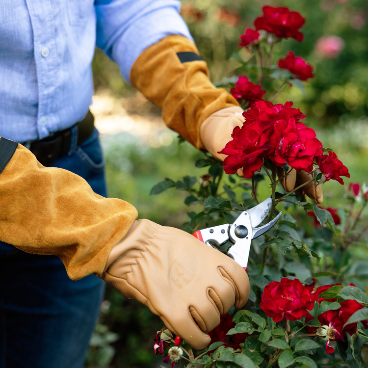 FELCO SA | Swiss Precision. Made to Last. – FELCO CH