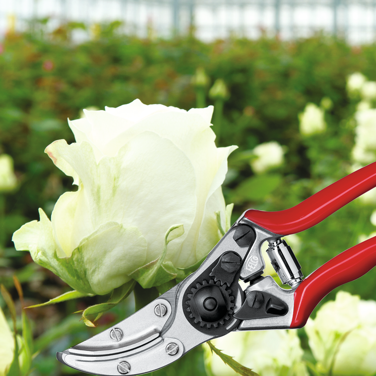 Pruning shears – FELCO Switzerland